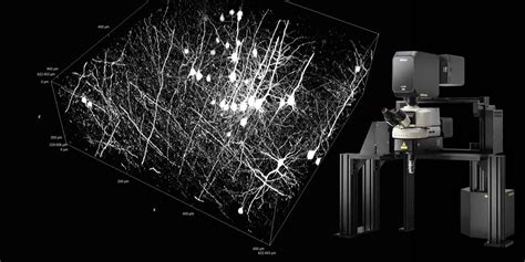 Nikon Instruments Inc