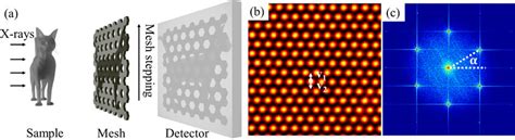 illustrations of mesh based x ray phase contrast imaging a the setup