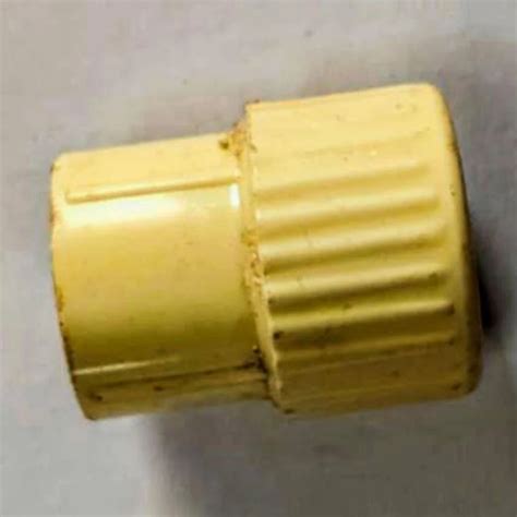 Pvc Female Threaded Adapter 1 Inch At ₹ 110 Piece In New Delhi Id