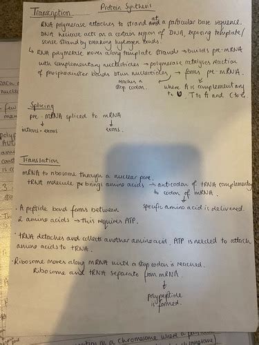 Protein Synthesis And The Genetic Code Flashcards Quizlet