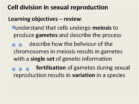 Cell Division In Sexual Reproduction Learning Objectives Understand