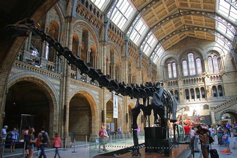 Behind The Scenes How Audio Brings London Museums To Life Morning
