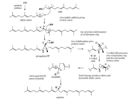 Terpenes And Their Classification Pptx