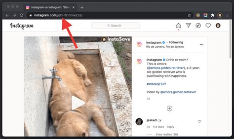 instasave instagram downloader online