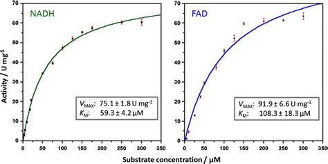 Michaelis Menten Kinetics Of Styb From Rhodococcus Opacus 1cp The Download Scientific Diagram