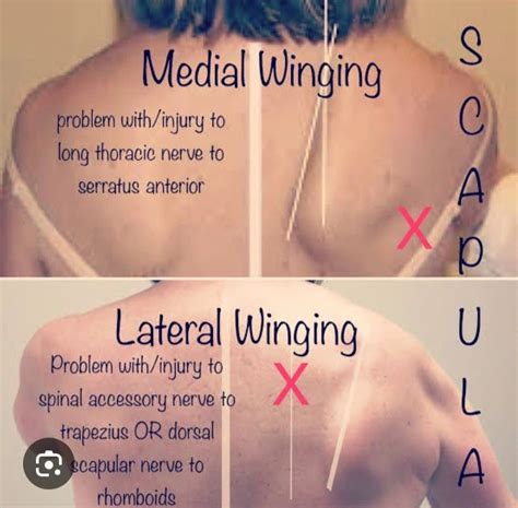 Sohail Ashraf Posted On Linkedin