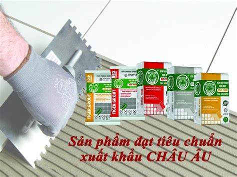 CÔNG TY TNHH GIẢI PHÁP XÂY DỰNG T T Thông Tin Tuyển Dụng