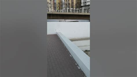 قبر عبدالله بن الزبير و اسماء بنت أبي بكر Youtube