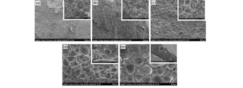 Sem Micrographs Of The Samples 1 At Different Sintering Temperature Download Scientific
