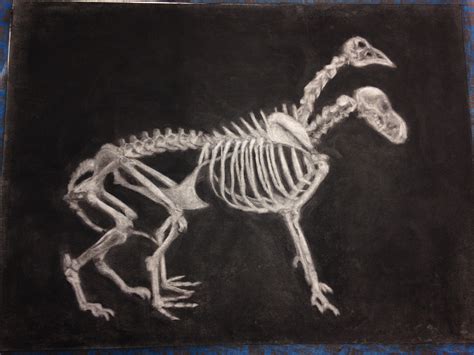 Reductive Charcoal Piece For Art Class By Zornobobo On Deviantart