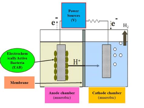 Schematic Representation Of A Typical Two Chamber Mec Reactor And Its Download Scientific
