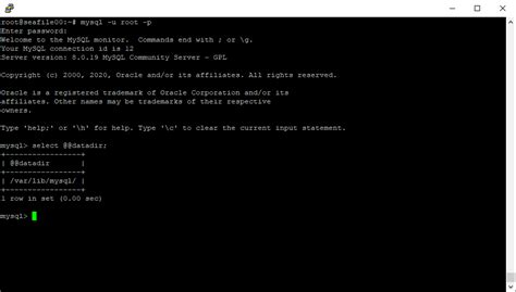 Перемещение базы данных Mysql 8 в Ubuntu 1804 Lts Internet