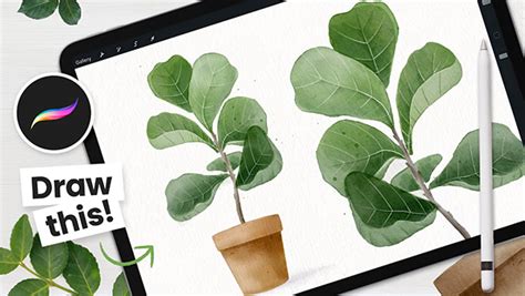 Procreate Tutorials 27 Best Tutorials To Learn Drawing Illustrations Graphic Design Junction