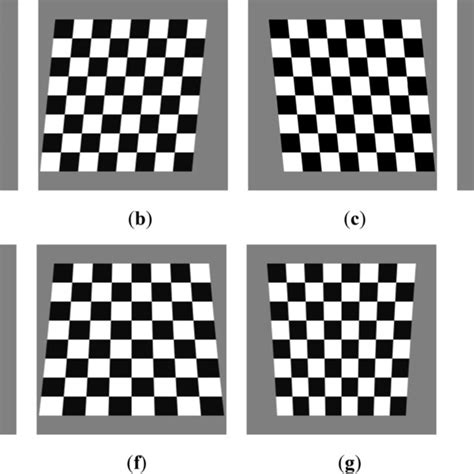 Line Scan Images Collected By The Line Scan Camera Under Different Download Scientific Diagram