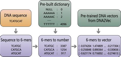 The Sequence Embedding Algorithm Download Scientific Diagram