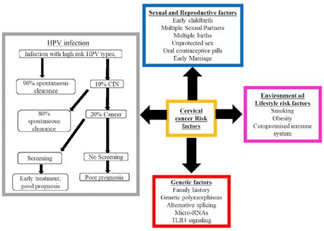 Risk Factors Associated With The Development Of Cervical Cancer Hpv Download Scientific