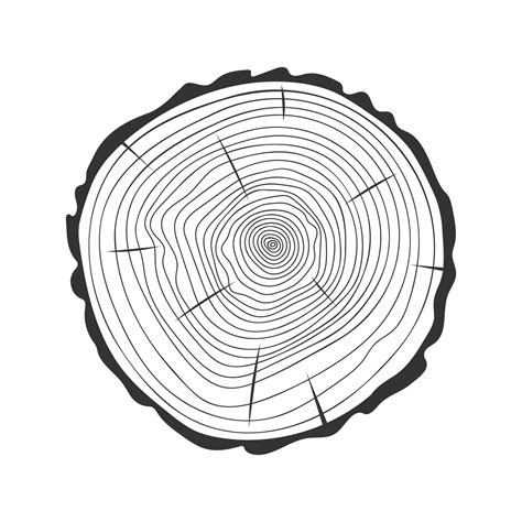 Tree Trunk Rings In Doodle Style Dendrochronology Method To Determine Tree Age Wooden Texture
