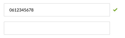 Input Which Styling Should The Field Have Once A Value Has Been