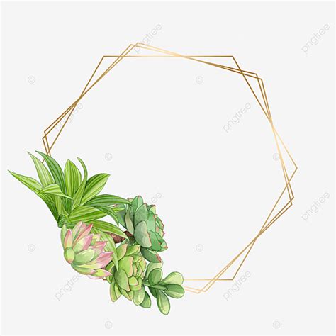 Gold Lines Border Png Image Succulent Border Gold Line Line Watercolor