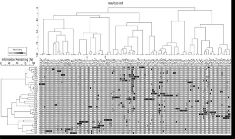 Two Way Cluster Dendrogram Twcd Generated Through Pc Ord Version 7 Download Scientific
