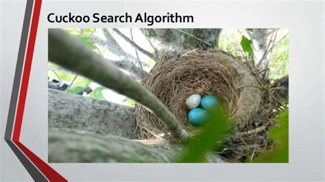 Cuckoo Search Algorithm Beyazıt Kölemen