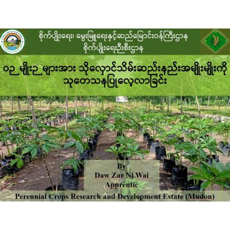 ဒုတိယဆုရ သုတေသနလုပ်ငန်းစီမံချက် ဝဉမျိုးဉများအား သိုလှောင်သိမ်းဆည်းနည်းအမျိုးမျိုးကို သုတေသနပ