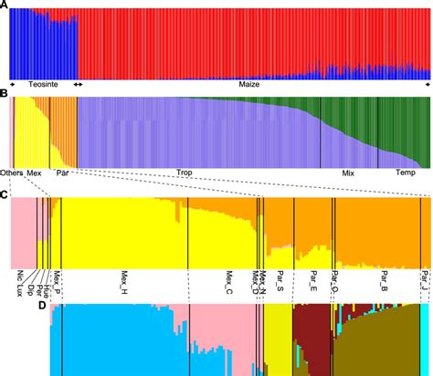 Population Structure Determined By Admixture For 982 Maize Lines And