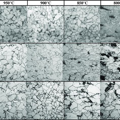 Microstructures Of Deformed Specimens Of S1 Steel At Different Strain
