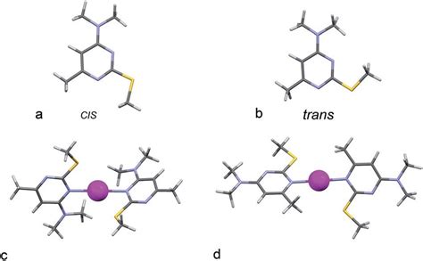 the optimized structures of a cis and b trans conformers of l1 and