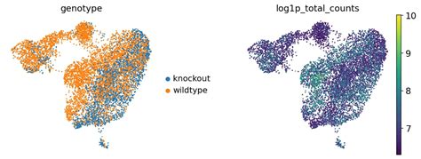 Hands On Filter Plot And Explore Single Cell RNA Seq Data With Scanpy Python Filter Plot