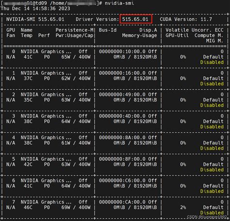 解决多卡机器cuda error code 802 cuda error system not ready nvidia