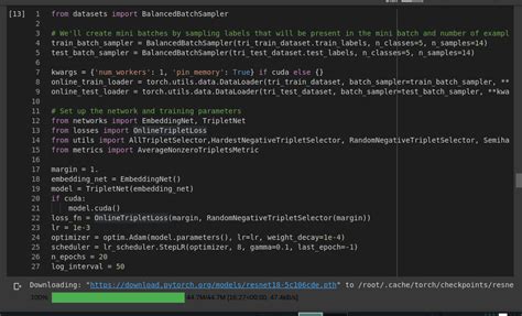 OnlineTripletLoss Issue Adambielski Siamese Triplet GitHub