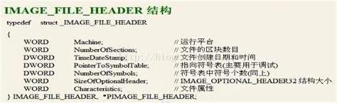 pe文件详解之image nt header结构 image nt headers csdn博客