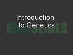 PPT Introduction To Genetics PowerPoint Presentation