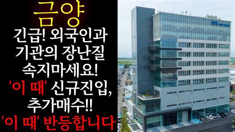 🔵 금양 긴급 드디어 고객사를 확정 했네요 어지러운 하락 패턴 이 때 마무리 됩니다 이 가격 잘 보세요 넘으면 미친듯이 폭등할 겁니다 금양 금양목표 금양