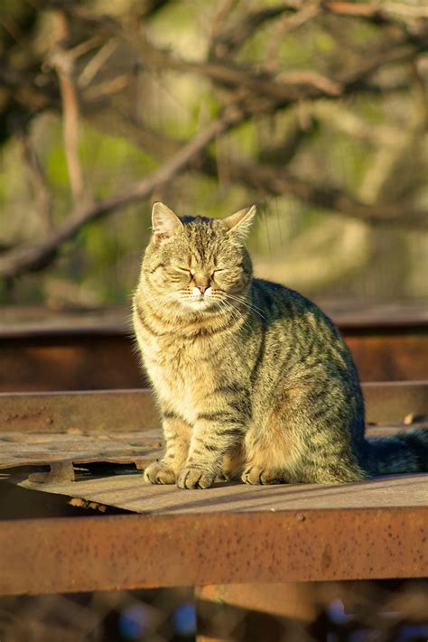 Telegraphcutegirls Photos Download The Best Free Telegraphcute