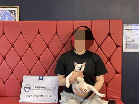 코리안숏헤어 바다 보스턴테리어 핏불테리어 허스키 테리어종류 꼬똥 차오차오 아프간하운드 Cat 강아지분리불안 털안빠지는강아지 귀여운강아지 강아지종 사바나캣 믹스견 잭러셀테리어