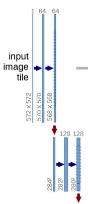Pytorch Unet Unet Csdn