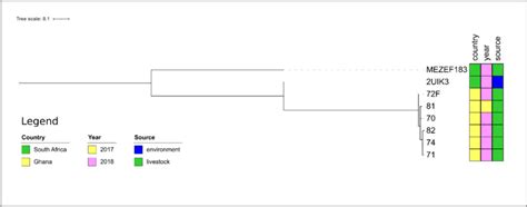 Antimicrobial Resistance And Whole Genome Sequencing Of Novel Sequence
