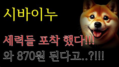 시바이누 코인 해외 트레이더들이 직접 알려온 세력 움직임 포착 870원이요 Youtube