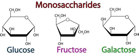 Monosaccharide 이미지 찾아보기 1 447 스톡 사진 벡터 및 비디오 Adobe Stock