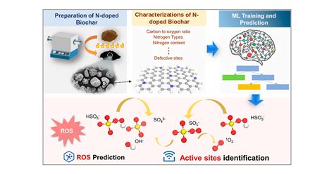 deciphering n doped biochar design for non radical pathways through