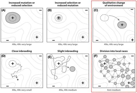 The Fitness Landscape As A Function Of Two Genes As A Function Of Download Scientific Diagram