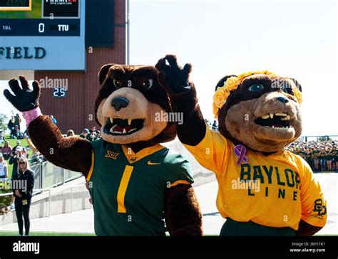 October 12 2019 Baylor Bears Mascots Bruiser And Marigold Before The