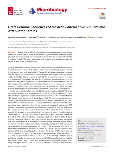 Pdf Draft Genome Sequences Of Mexican Babesia Bovis Virulent And Attenuated Strains