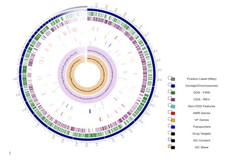 Circular Map Of The Genome The Two Inner Black Circles Indicate The