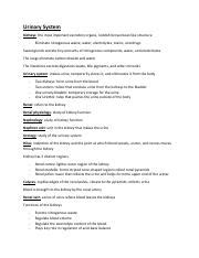 Understanding The Urinary System Kidney Function And Urine Course Hero