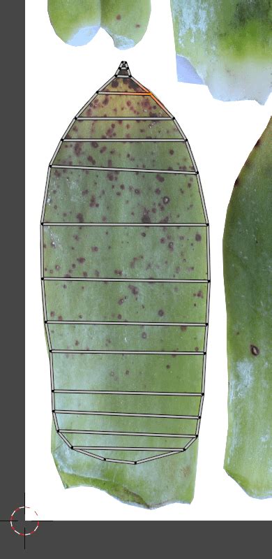 Why Is My Texture Warping When Adding Solidify Modifier Rblenderhelp