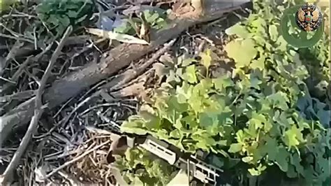 Тяжелый бой полное видео Наш тг T Me Voenkor Online Выбрать другую тему Taplink Cc Vk Select