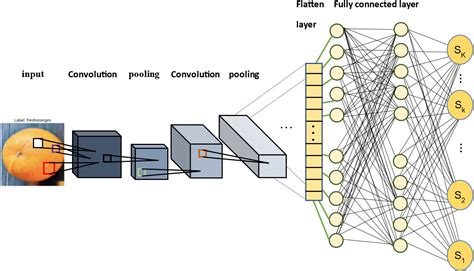 Frontiers Robust Deep Learning Method For Fruit Decay Detection And